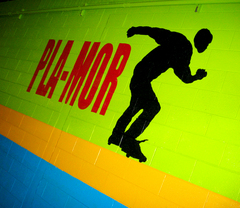Roller Skating Enthusiasm – From the Euclid Rollerdrome to Pla-Mor ...
