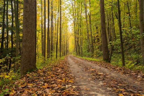 A Spiritual Journey: The Trinity (One God in Three Persons) – Melvin Gaines